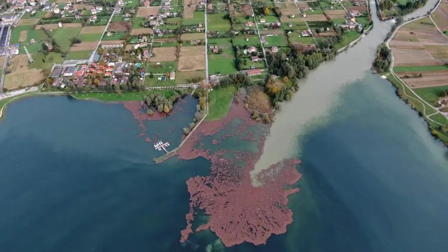 Isolotto di detriti nel lago d'Idro: «Almeno 200mila euro per la ...