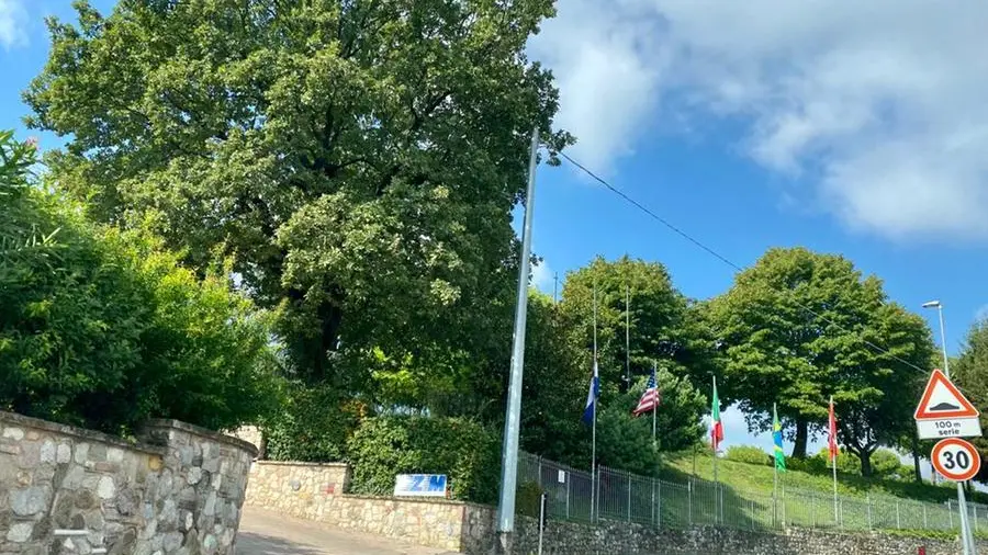 Dramma a Lonato: è morta Laura Rizzi, titolare della Cavallina ...