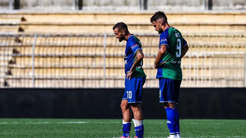 FeralpiSalò-Pisa: le pagelle dei Leoni del Garda | Giornale di Brescia