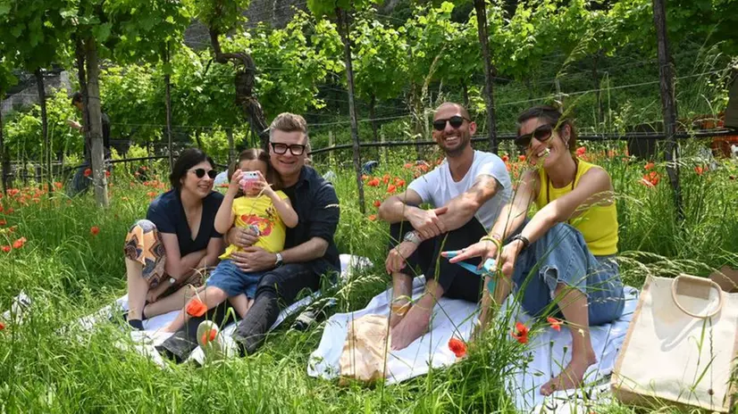 Il «Pic-nic Bello e Buono» al Vigneto Pusterla | Giornale di Brescia