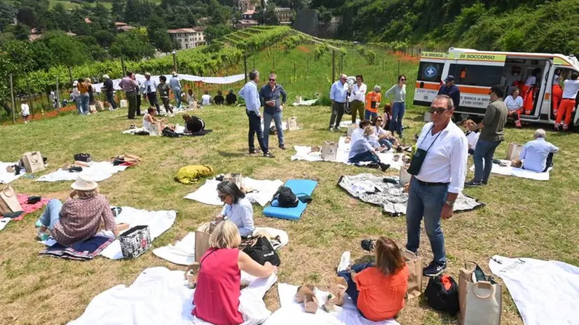 Il «Pic-nic Bello e Buono» al Vigneto Pusterla | Giornale di Brescia