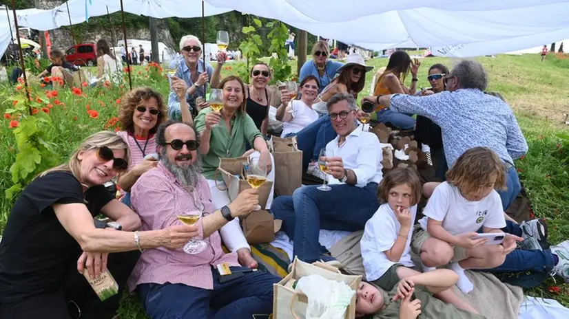 Il «Pic-nic Bello e Buono» al Vigneto Pusterla | Giornale di Brescia