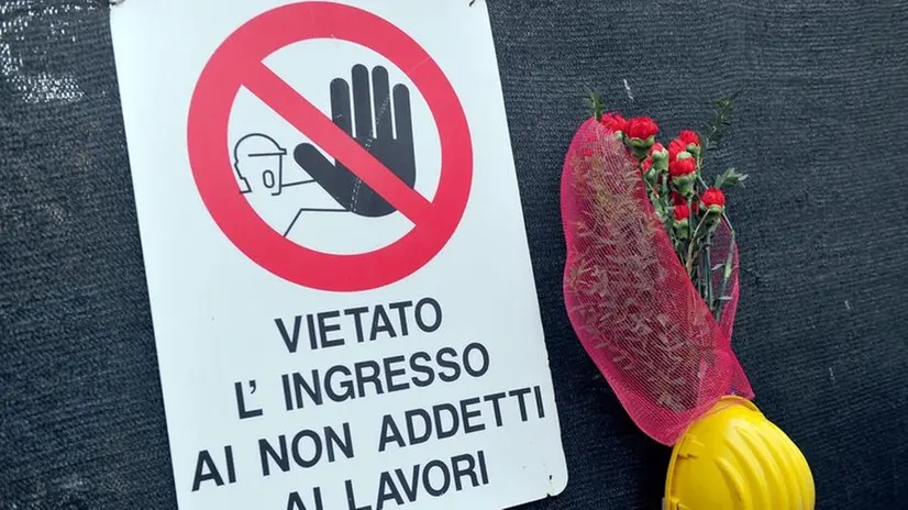 Operaia muore in un incidente sul lavoro nel Mantovano | Giornale di ... Operaia muore in un incidente sul lavoro nel Mantovano | Giornale di ...
