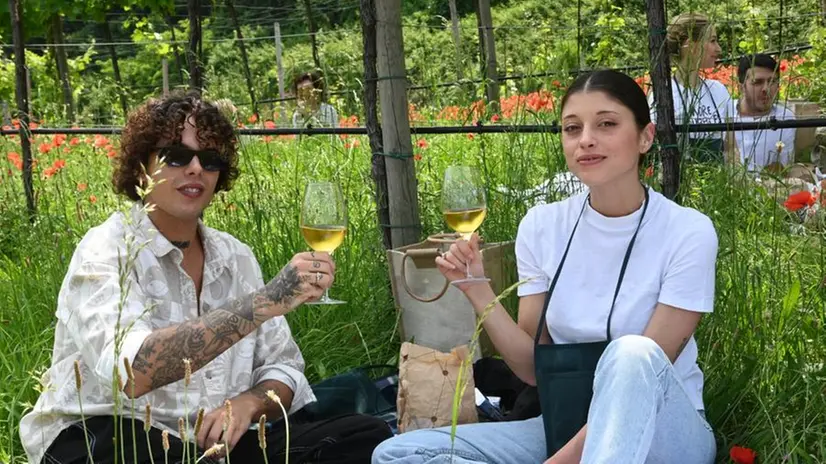 Il «Pic-nic Bello e Buono» al Vigneto Pusterla | Giornale di Brescia