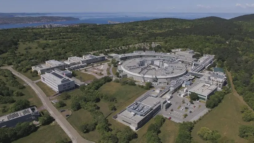 Area Science Park, 24 posizioni per tecnologi e ricercatori | Giornale ...