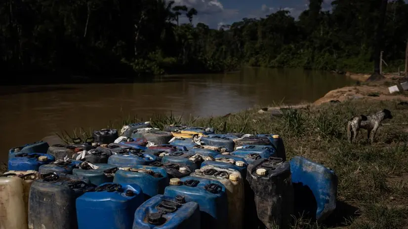 Il Brasile rafforza 'l'assedio' ai cercatori d'oro illegali | Giornale ... Il Brasile rafforza 'l'assedio' ai cercatori d'oro illegali | Giornale ...