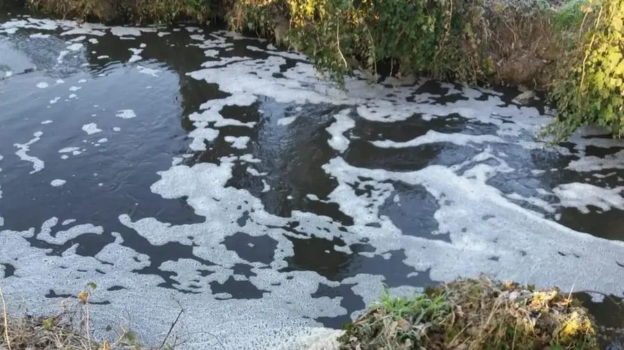 Roggia inquinata, allarme a Gottolengo | Giornale di Brescia