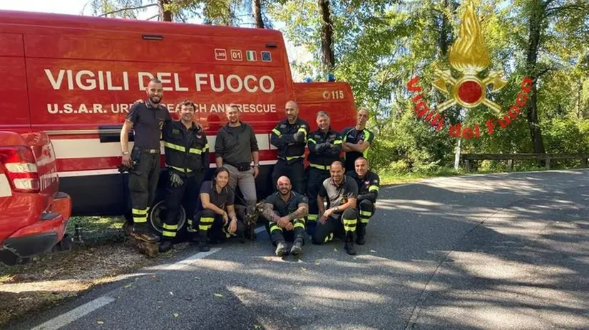 Inghiottito dalle rocce, il cane Rasta recuperato a 15 metri di ...