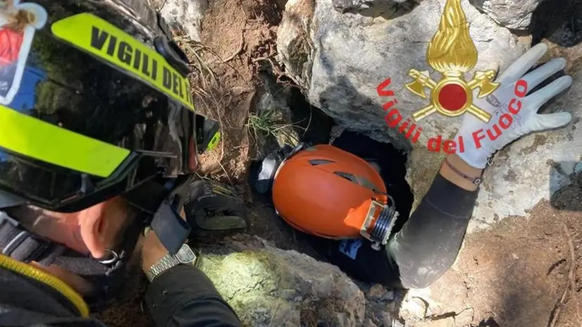 Inghiottito dalle rocce, il cane Rasta recuperato a 15 metri di ...