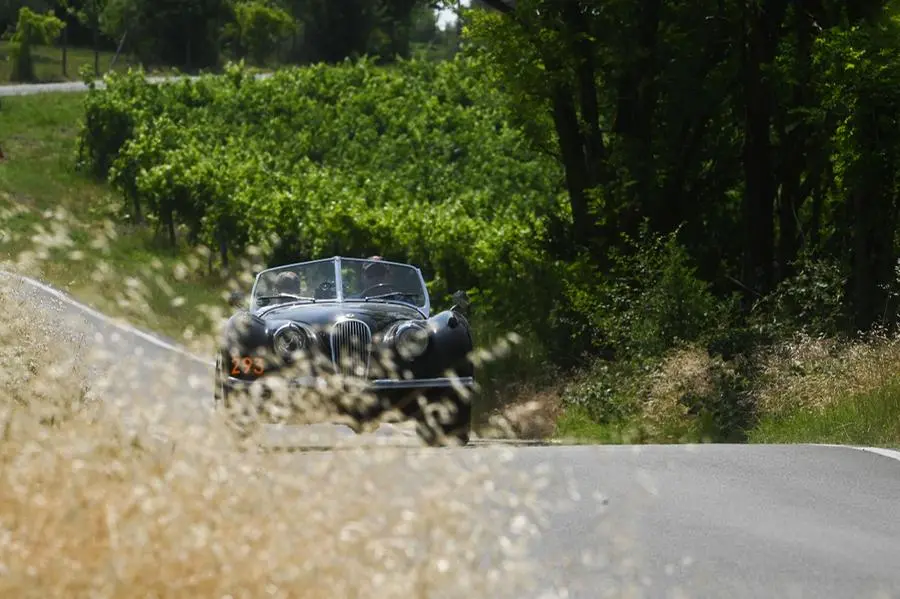 Mille Miglia 2022: il passaggio tra i colli pavesi | Giornale di Brescia