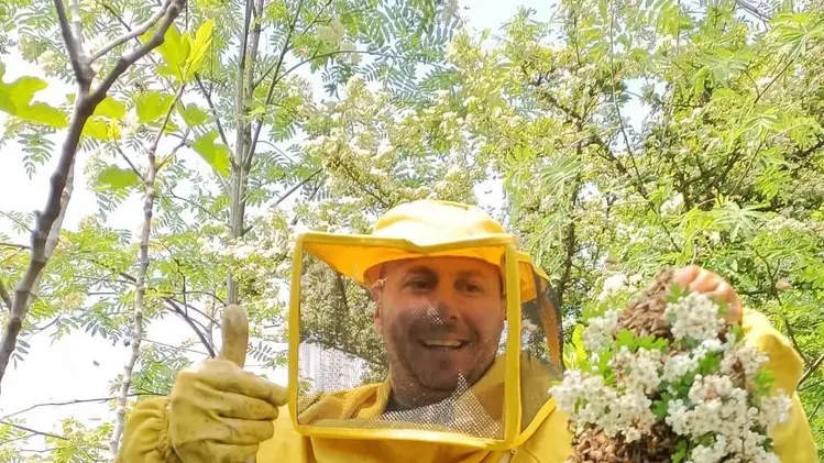 La missione di Mirco Peli: salvare gli sciami d’api dagli spray ...