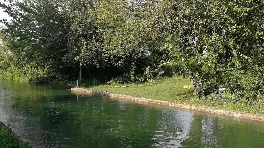 L'ultimo abbraccio di Capriolo a mamma Sara | Giornale di Brescia