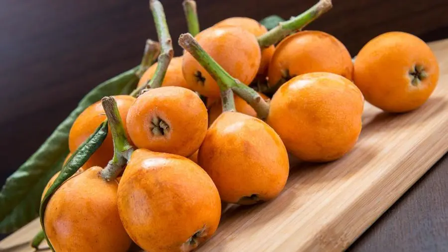Nespole, frutto demodè dai mille pregi e perfetto con il tacchino ...