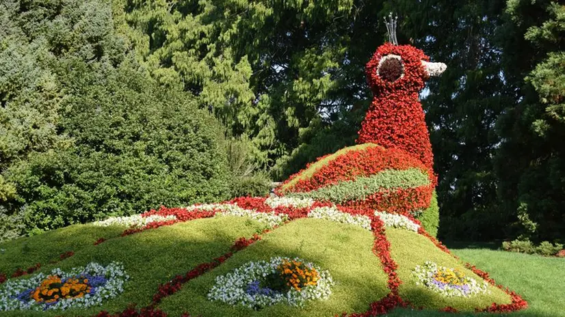 Mainau, l'isola sospesa tra Germania e Svezia: la fotogallery ...