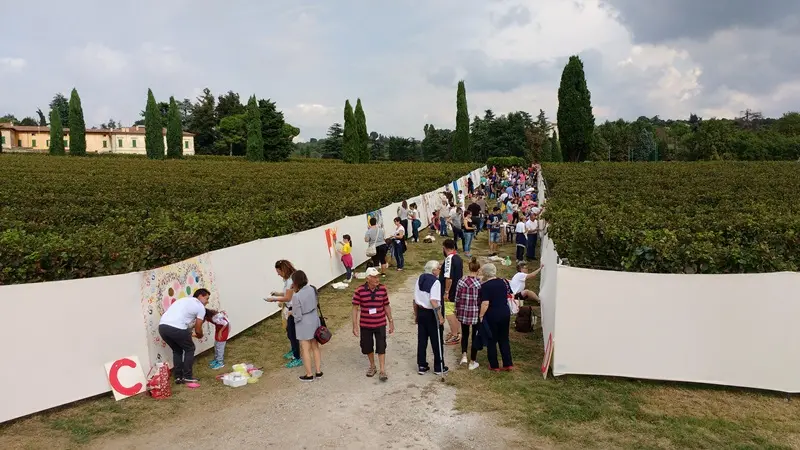 Franciacorta, 1 km di tela dipinta tra le vigne: omaggio a Milano ...