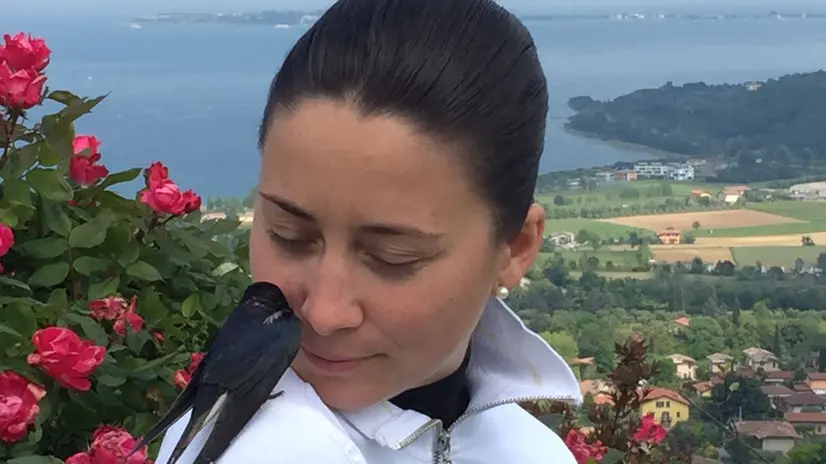 Storia della rondinella ferita e di Lisa che l'ha salvata | Giornale di ...