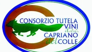 Corso di degustazione tre le vigne di Capriano del Colle | Giornale di ...