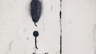 Ny ritenta la carta della contraccezione contro i ratti | Giornale di ...