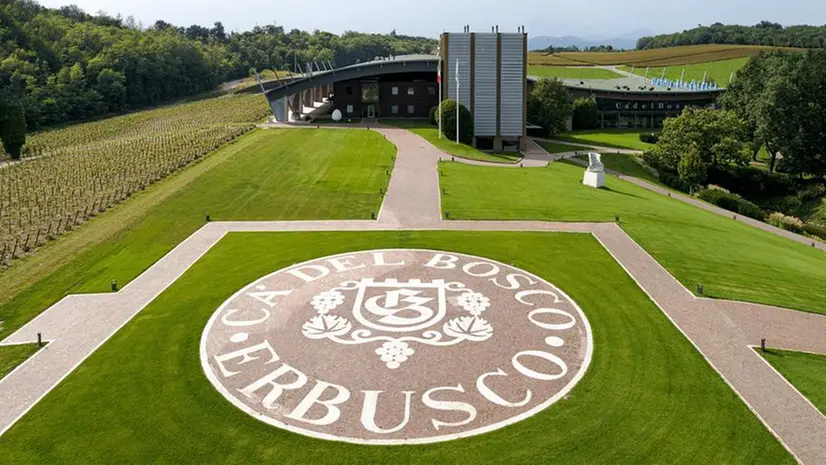 Ca’ del Bosco, non solo vino: in Franciacorta nasce l’Olio della Corte ...