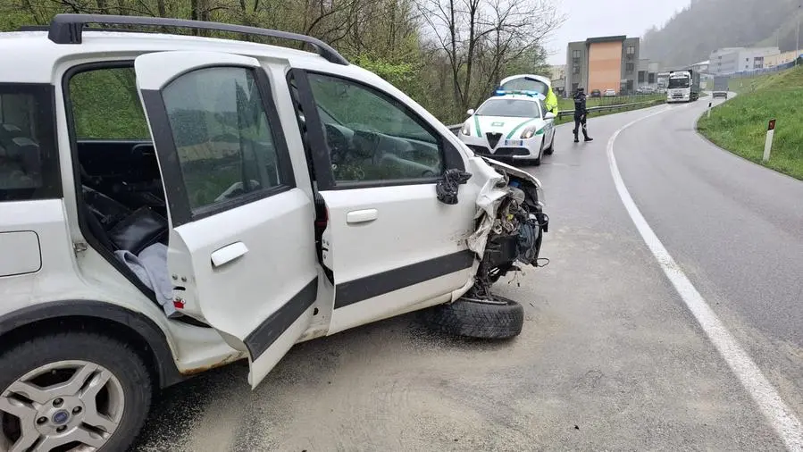 Incidente sulla Sp 237, camionista evita un frontale con un’auto ...