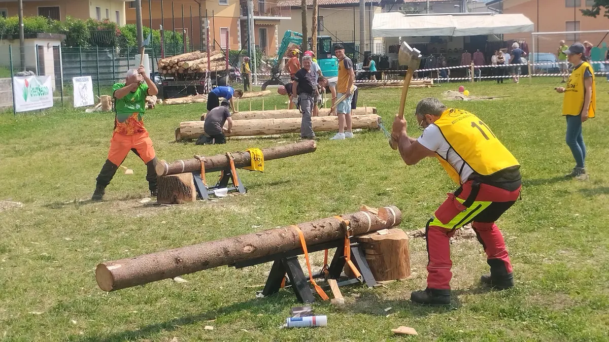 A Sale Marasino il re dei boscaioli è Marco Giordanengo | Giornale di Brescia