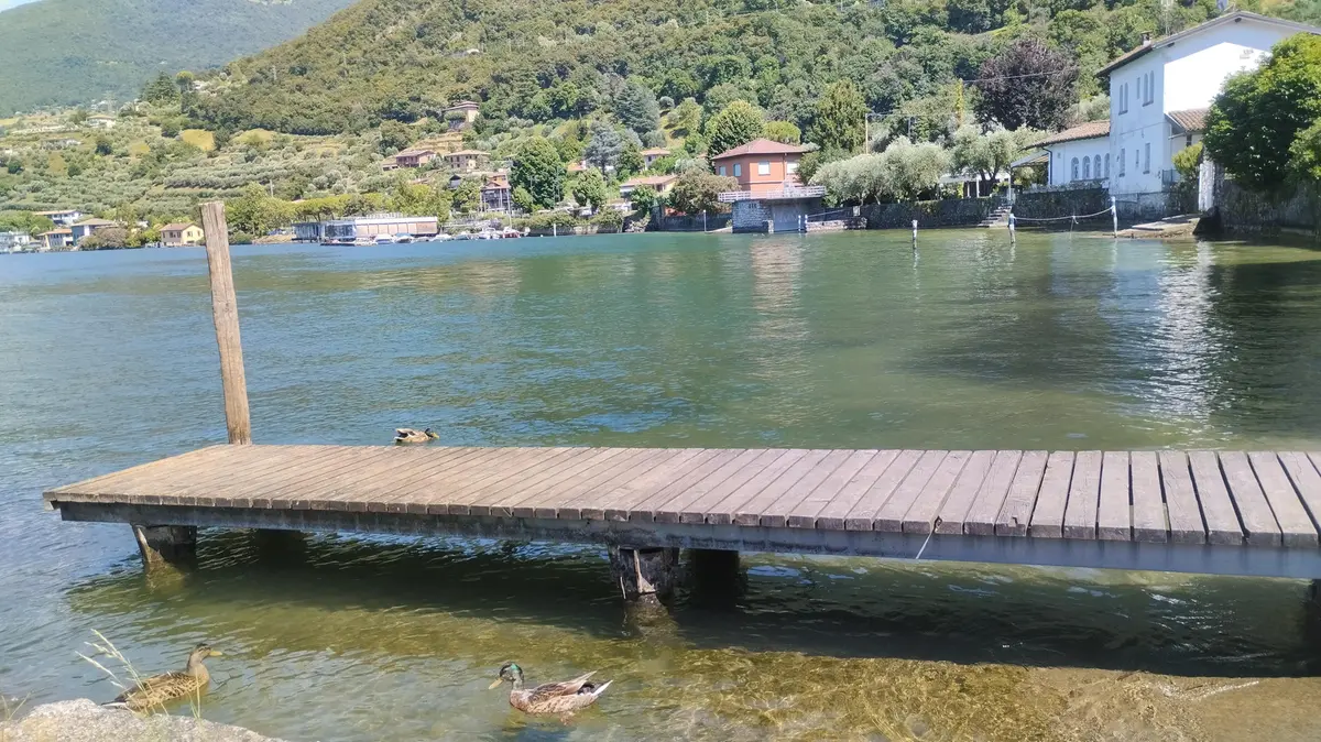 I livelli del lago d’Iseo han ripreso a crescere grazie alla pioggia ...