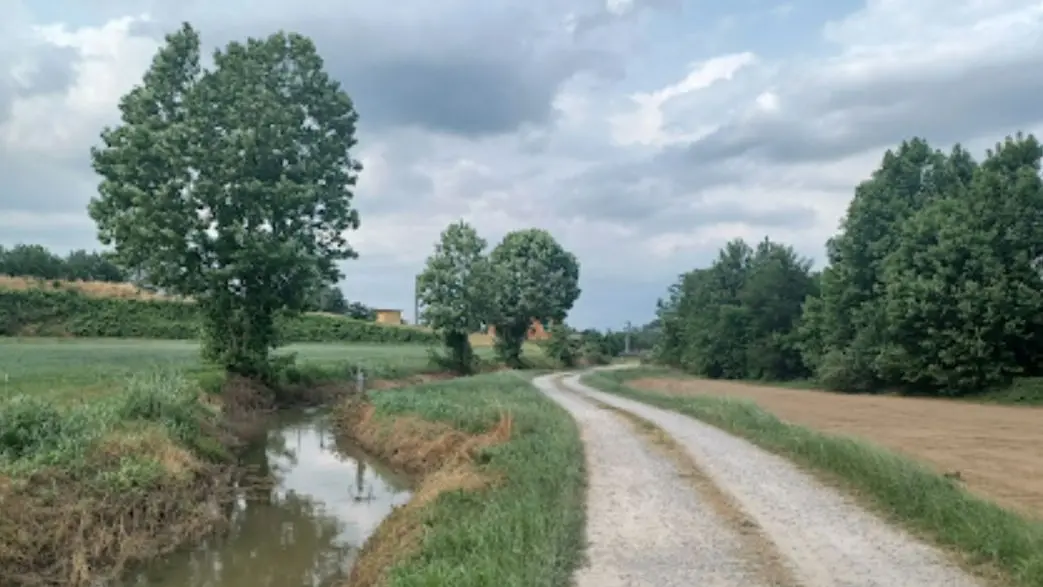 Nella Bassa centrale un corridoio verde per riscoprire il Mella sui ...