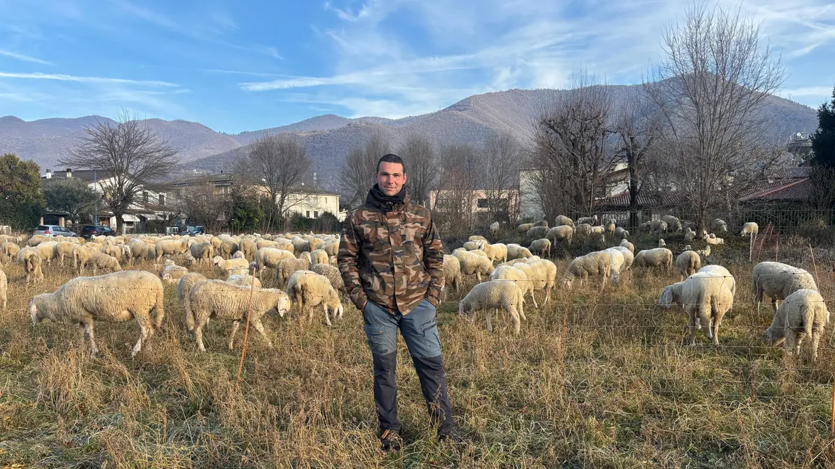 Mattia, pastore a 28 anni: «Sempre in giro con le mie 300 pecore ...