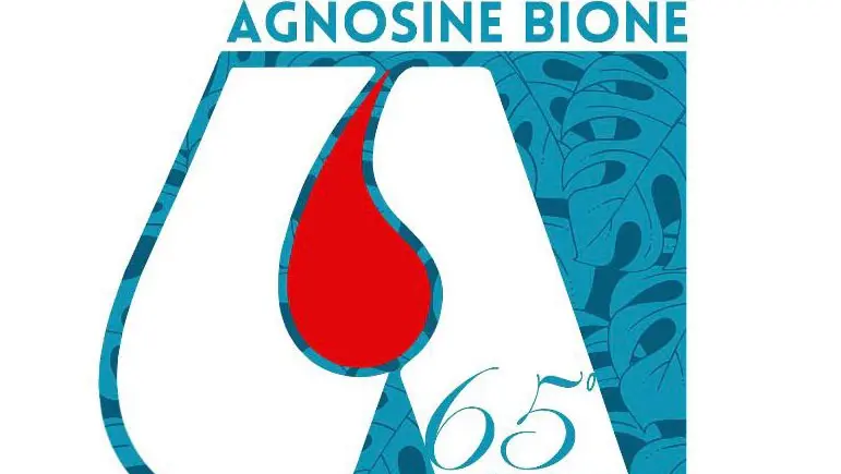 Avis in festa: storie di donazioni e solidarietà ad Agnosine e Bione ...